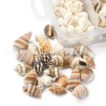 5 Styles Mixed Natural Shell Beads, No Hole, Mixed Shapes, Mixed Color ...
